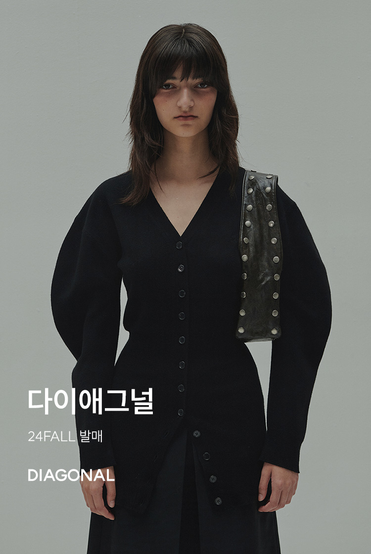 다이애그널 24FALL - 하고