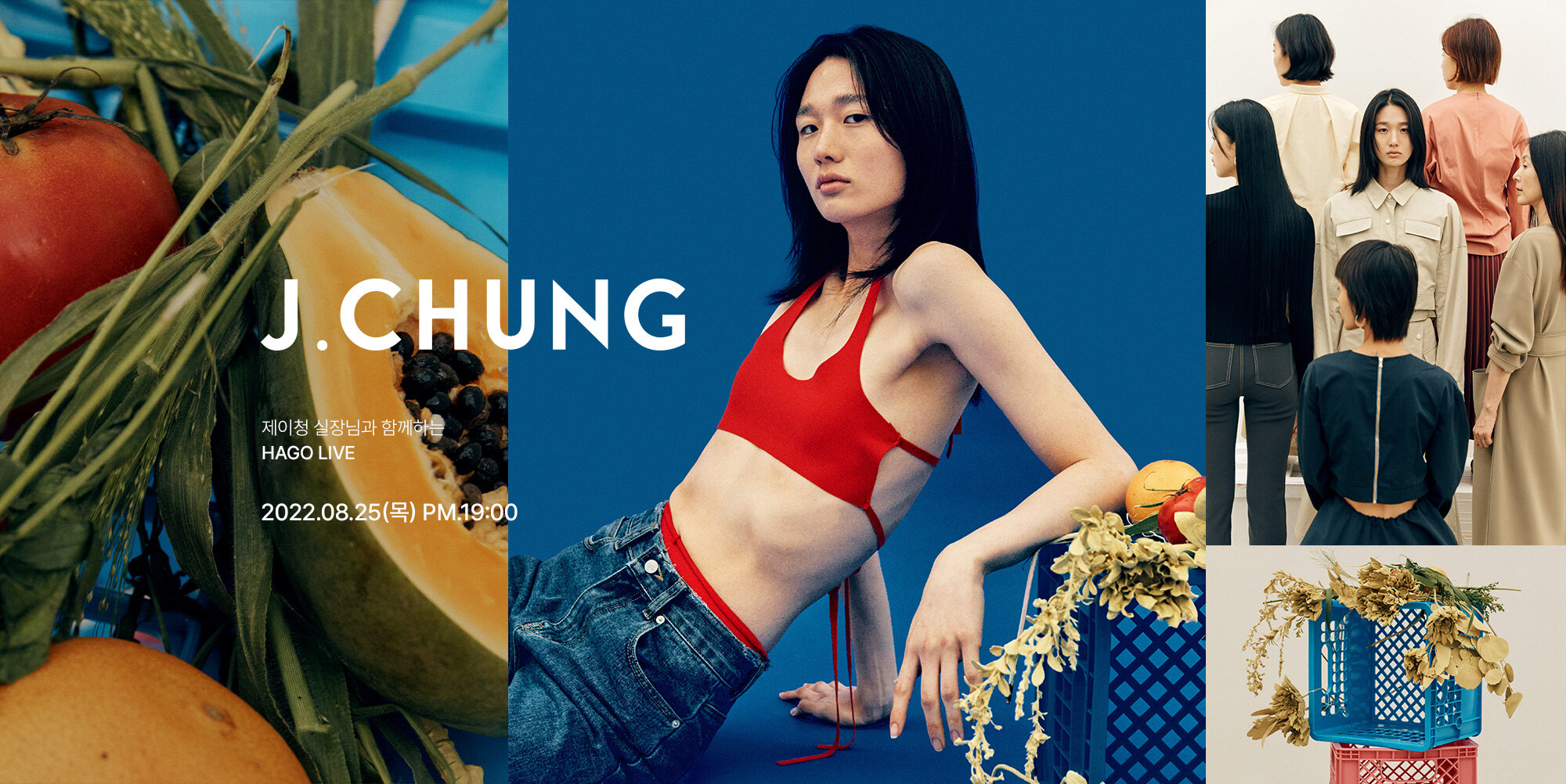 제이청 8월 LIVE - 하고