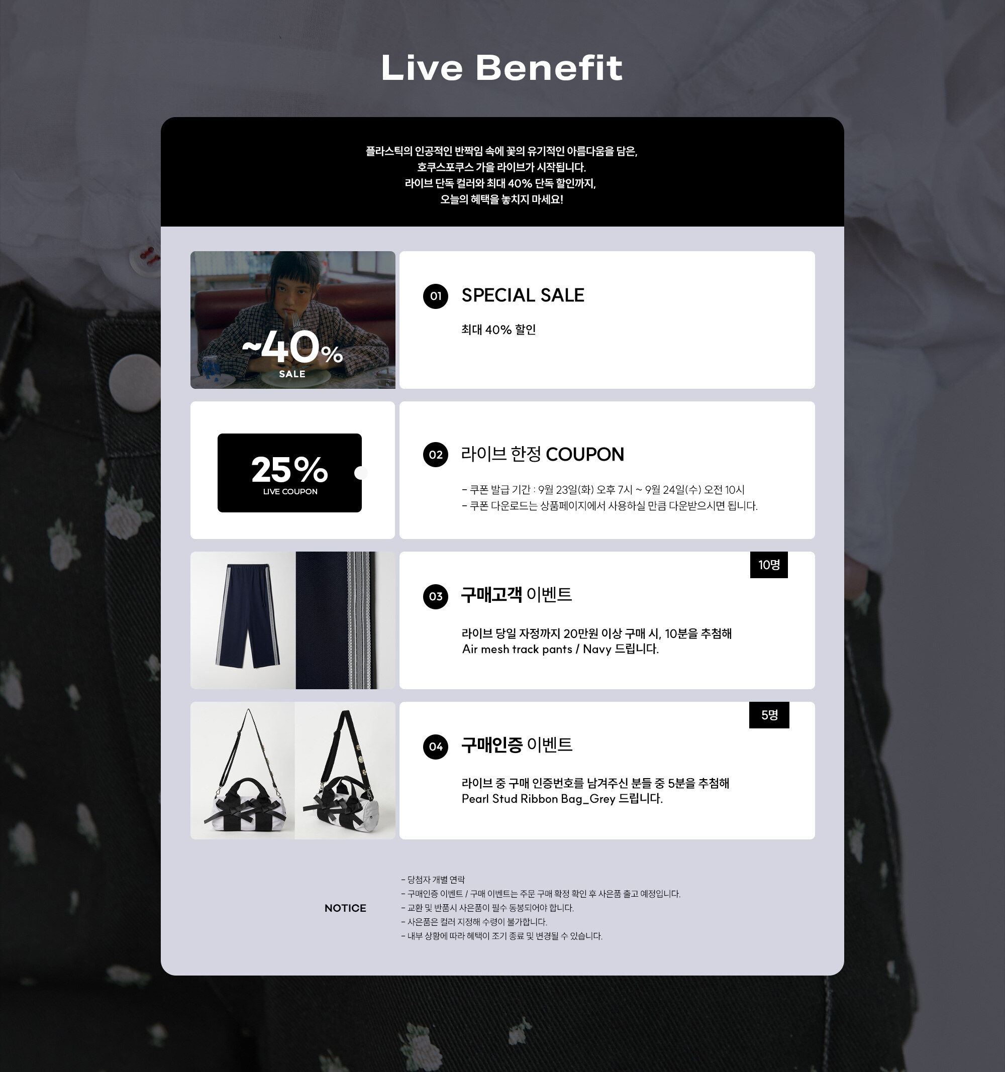 (LIVE) 호쿠스포쿠스 FALL - HAGO(하고)