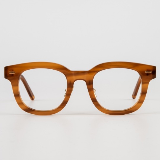 SBKA Plug-C02 뿔테안경 - HAGO(하고)