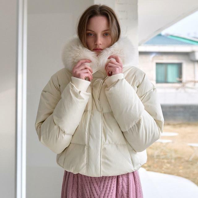 Fox collar short padding - ivory - 하고