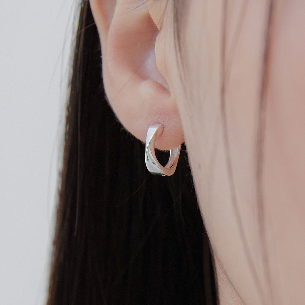 Swan earring - HAGO(하고)